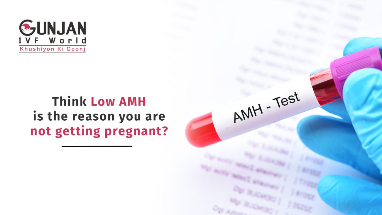 Can you conceive with low AMH? - Gunjan IVF World