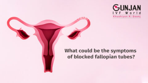 Symptoms of Blocked Fallopian Tubes - Gunjan Ivf World