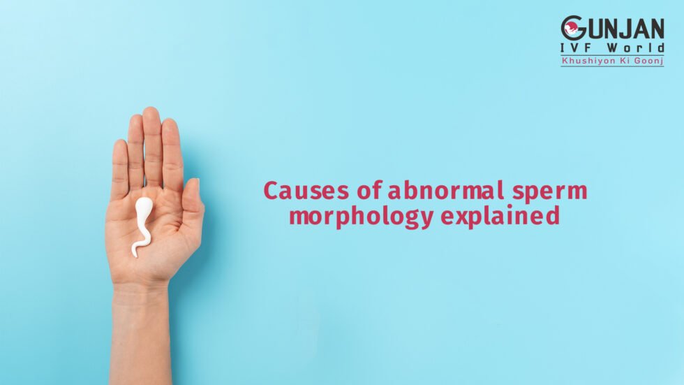 Causes of abnormal sperm morphology explained - Gunjan Ivf World